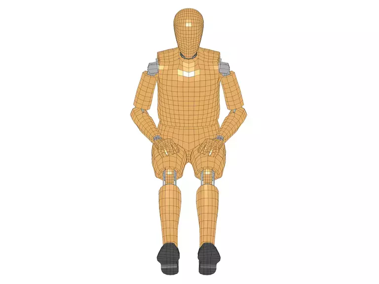 Hybrid III 50th Male FE | Humanetics