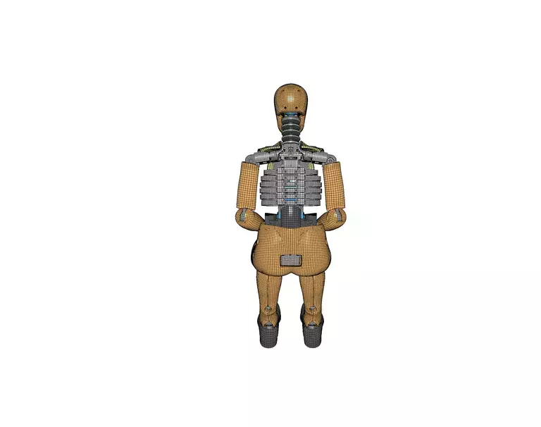 Hybrid III 50th Male FE | Humanetics