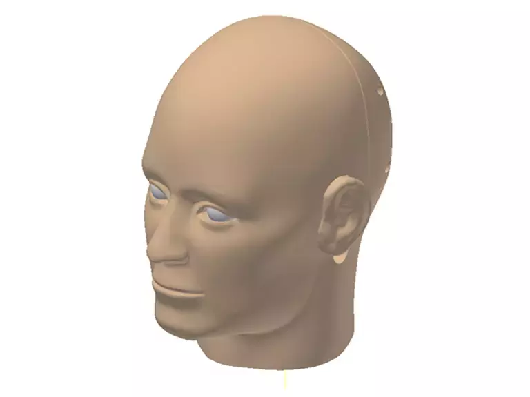 FOCUS-5F Headform | Humanetics