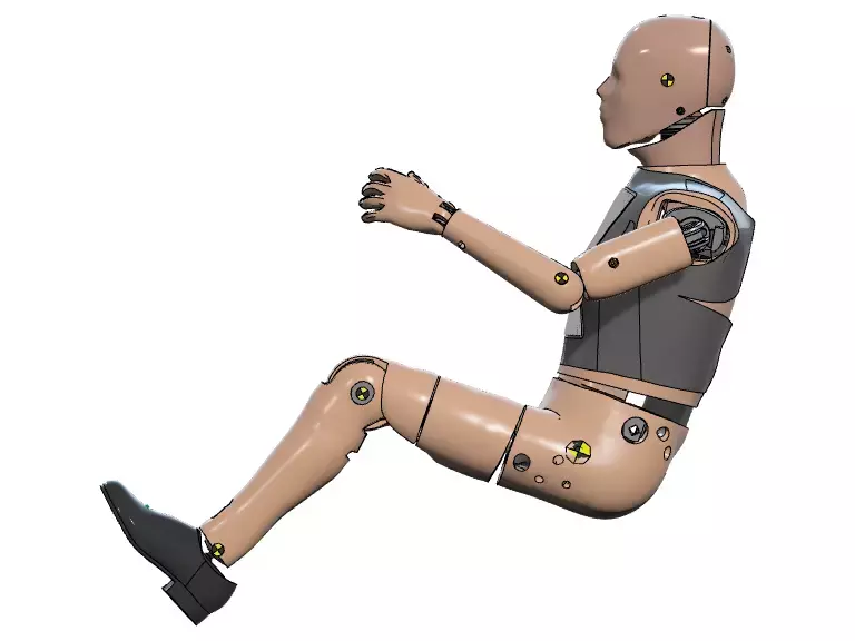 Hybrid III 5th Female FE | Humanetics