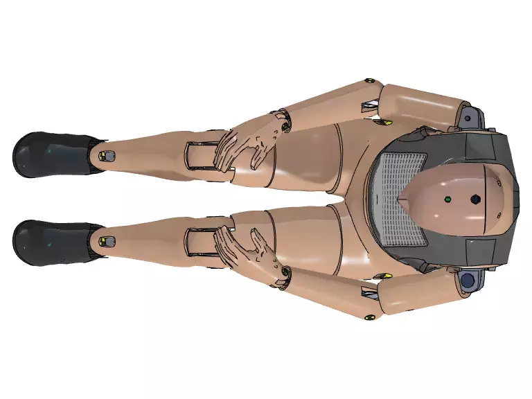 Hybrid III 5th Female FE | Humanetics
